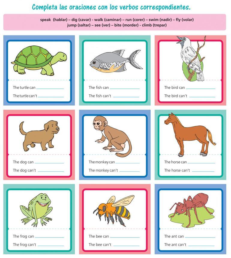 Verb can (2) - Escolar - ABC Color