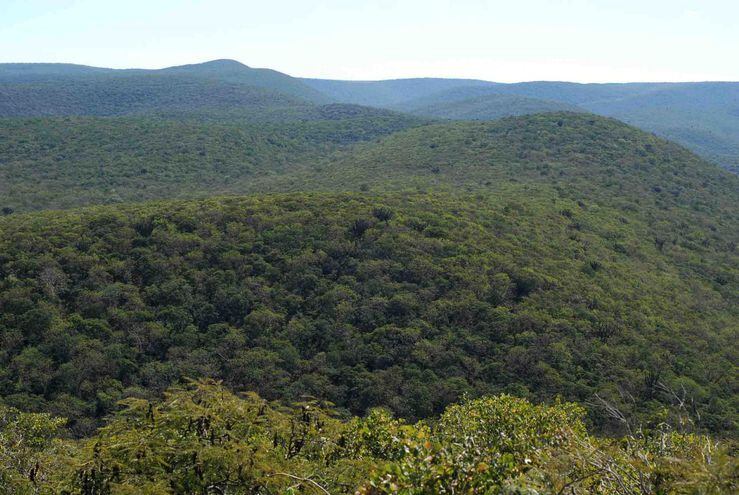 Cerro León: hacia un patrimonio de la humanidad - Nacionales - ABC Color