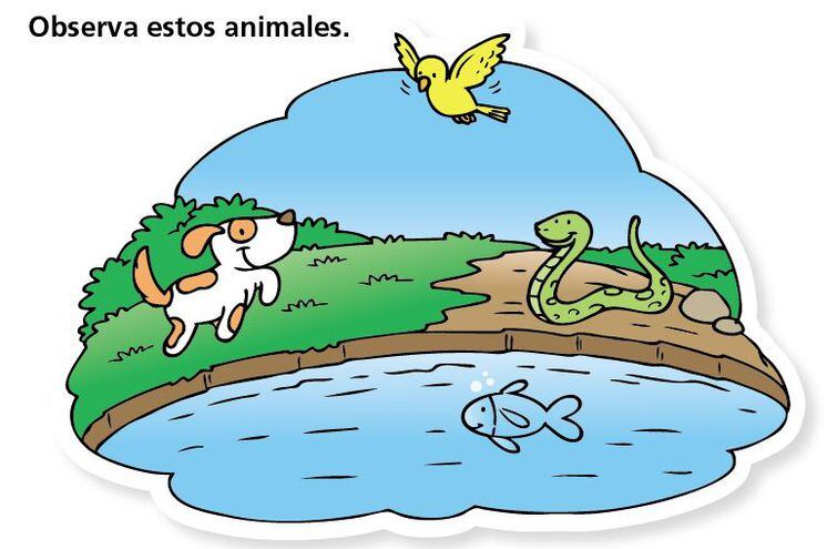 Los animales se mueven - Escolar - ABC Color