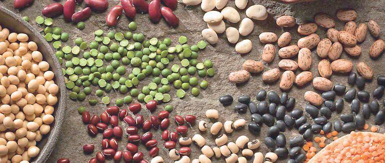 Semillas comestibles - Gastronomia - ABC Color