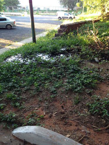 Parque sucio y abandonado - Crónicas Ciudadanas - ABC Color