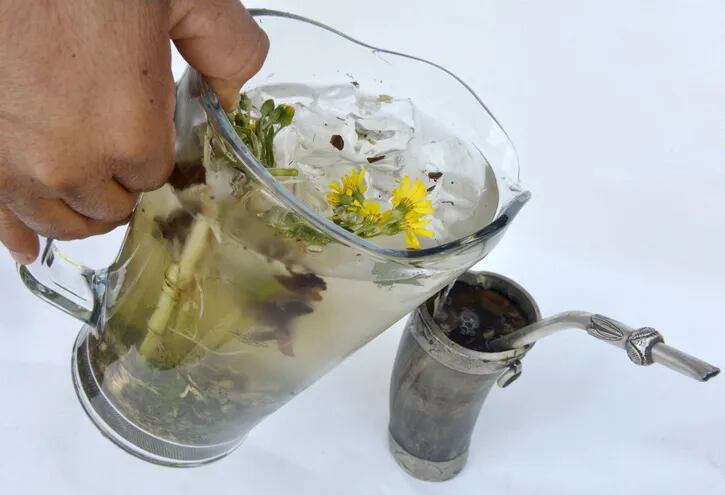 Siete hierbas en el tereré, también ayudan - Día del Poha Ñana y Día ...